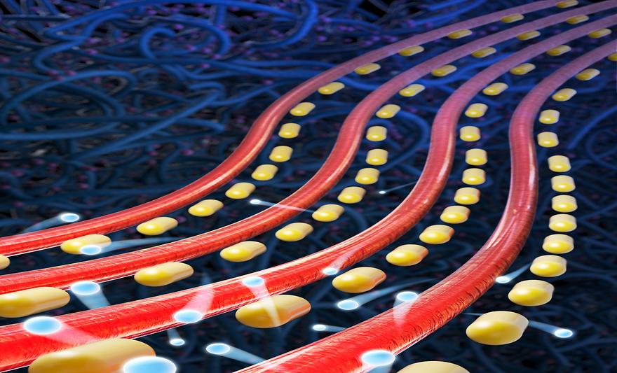 金钟铉教授研究组开发出世界最高水平的有机热电能量转换技术 | 亚洲大学-Ajou University